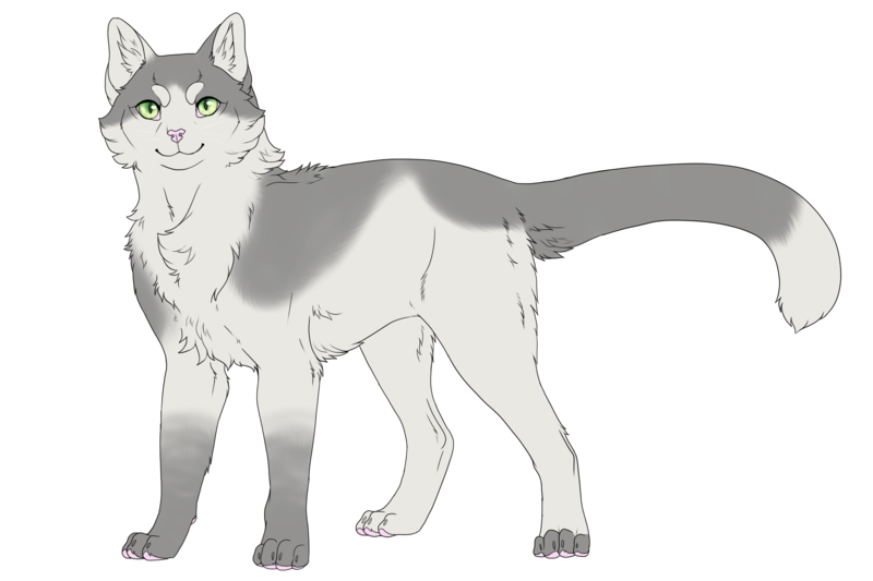 Haselschweif – WarriorCats Fan-Wiki